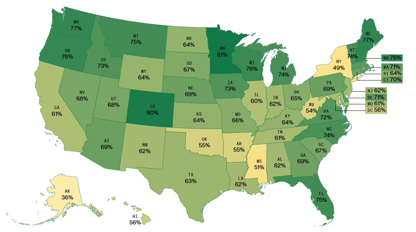 USA 2020: record di affluenza alle urne - YouTrend